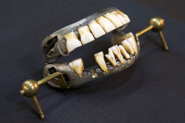 George Washington’s Teeth: The Truth Behind the Myth and the Evolution ...